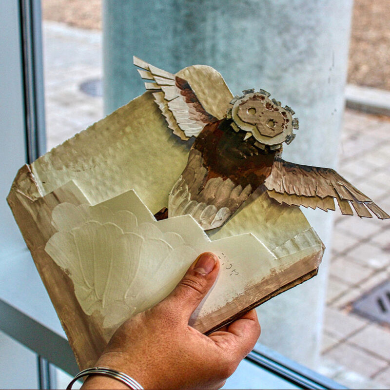 Corrugami: Explore Creative & Versatile Cardboard Packaging Solutions ...